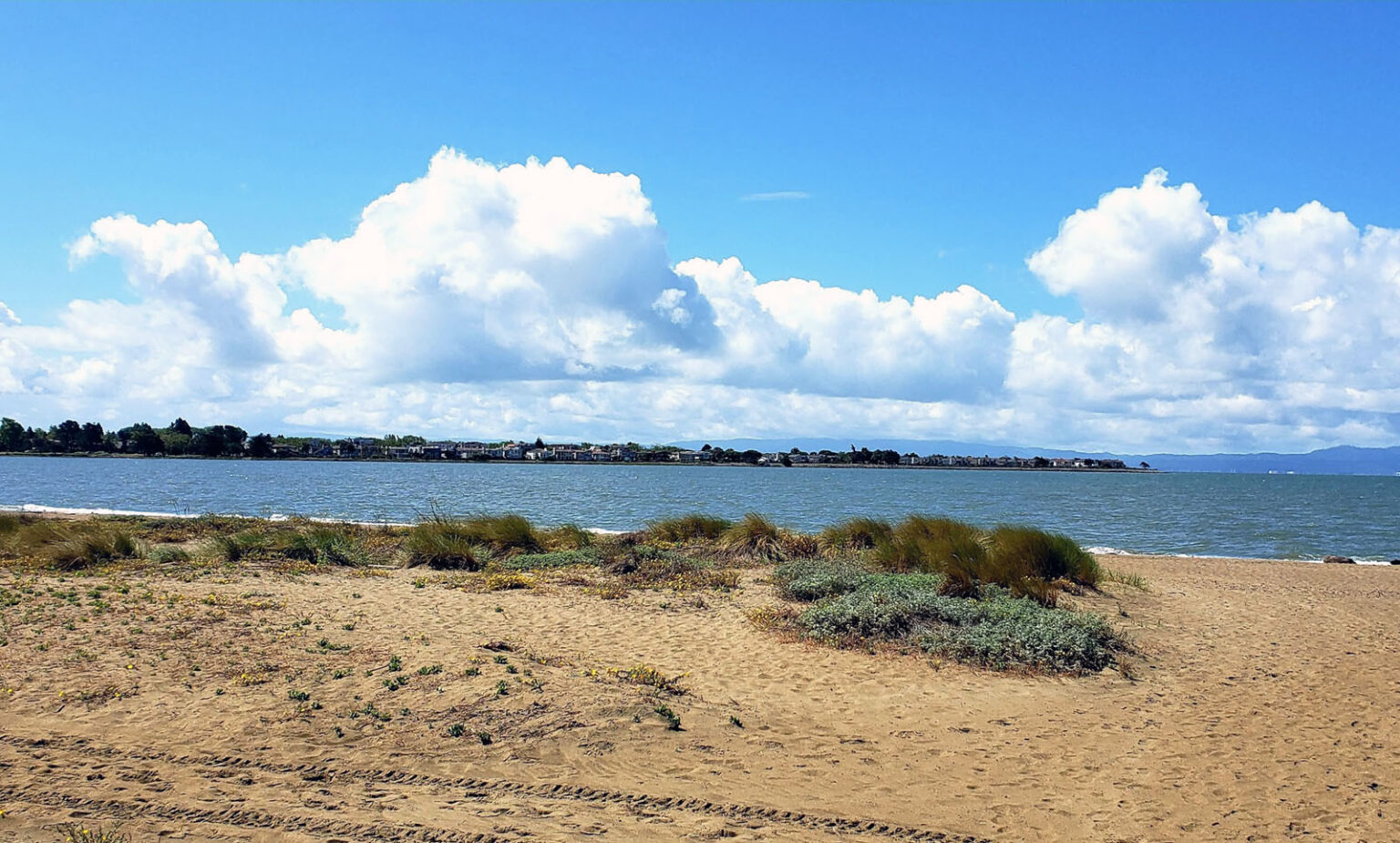 Sunday ‘Beach Takeover’ Mostly Peaceful, Fights Erupt Later at South Shore
