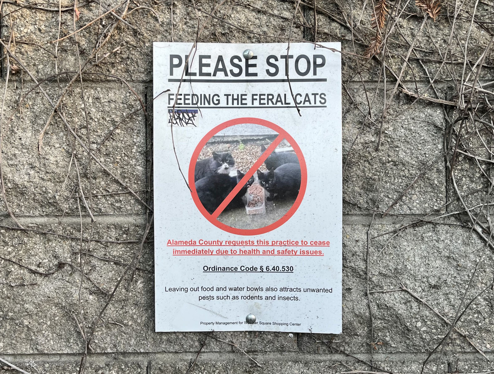 Stop Feeding The Cats Sign