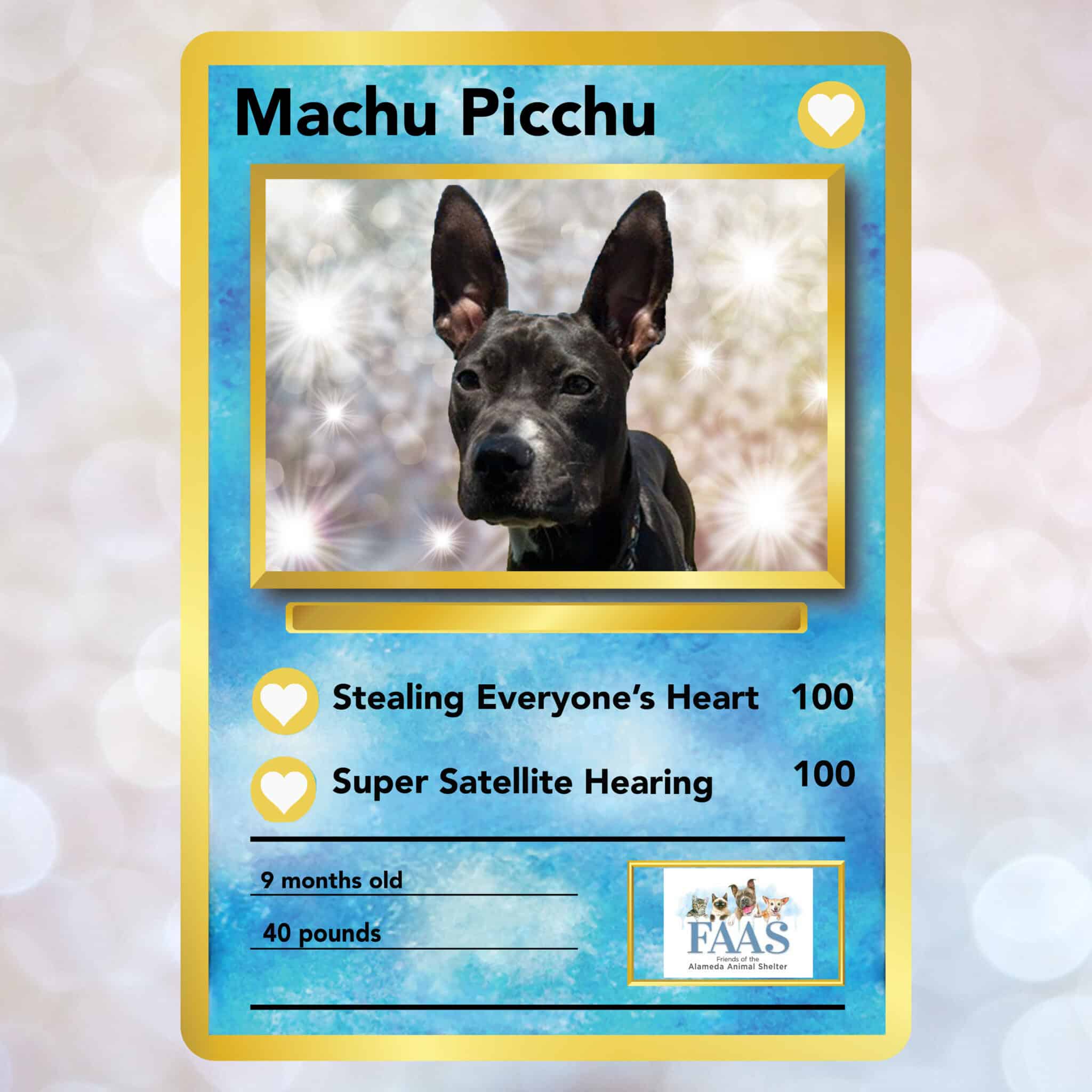 Machu Picchu Comin' Atchu!