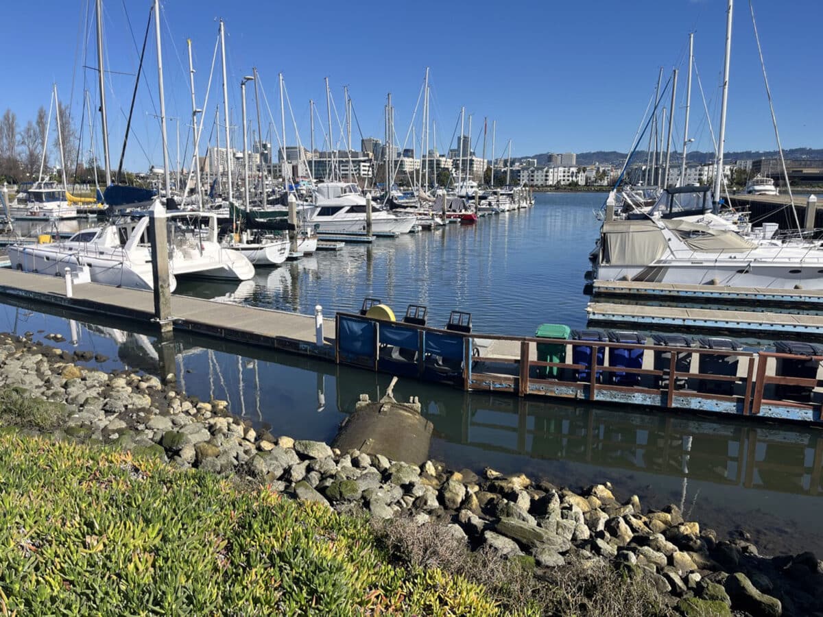 Down the Drain: How Litter Hurts Local Infrastructure