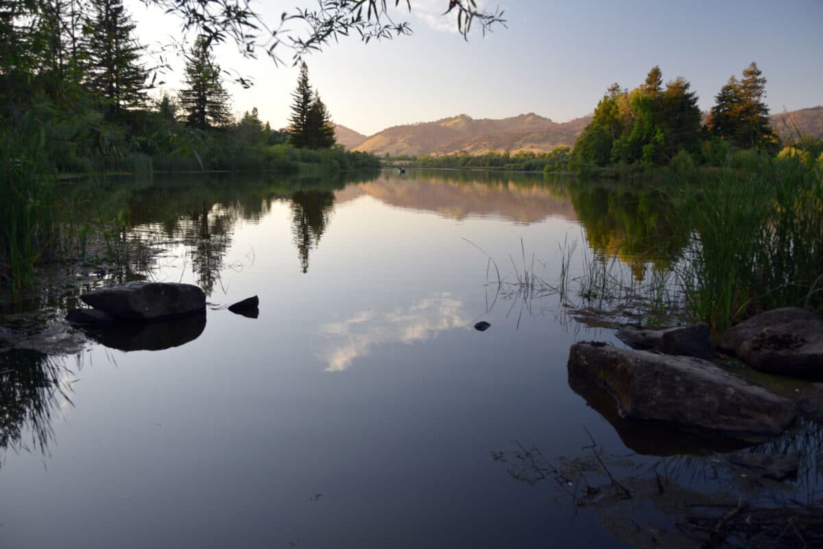 Today’s Bay Area Treasure – Santa Rosa